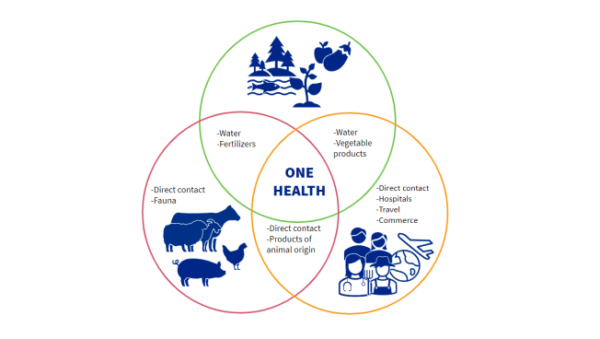 Marburg Virus Outbreak in Ethiopia: A Critical One Health Alert ...